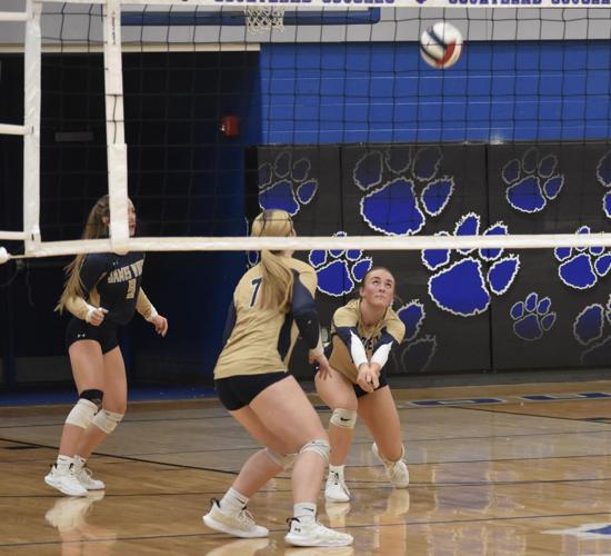 James Wood volleyball defeats Courtland, reaches fourth straight state ...