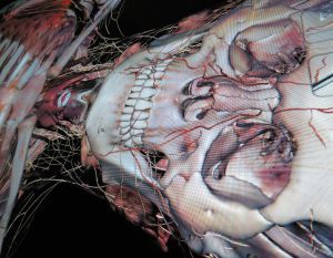 SU anatomy class tool mimics human cadaver | News | winchesterstar.com