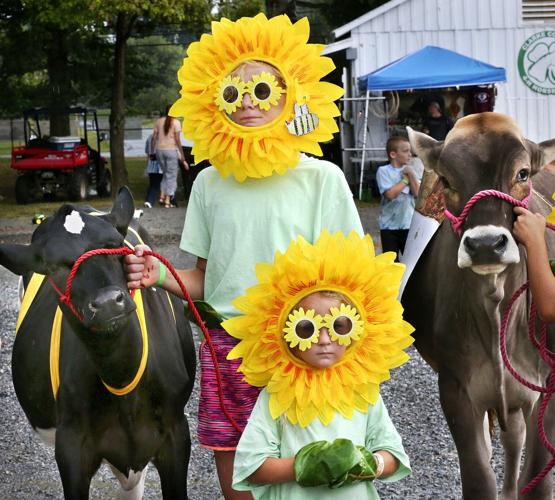Livestock play dress-up: Pretty Animal Contest wows spectators at fair ...