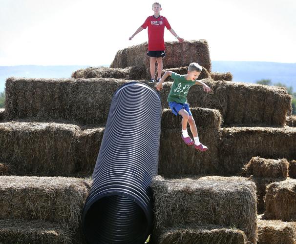 Fun down on the farm | Eedition | winchesterstar.com