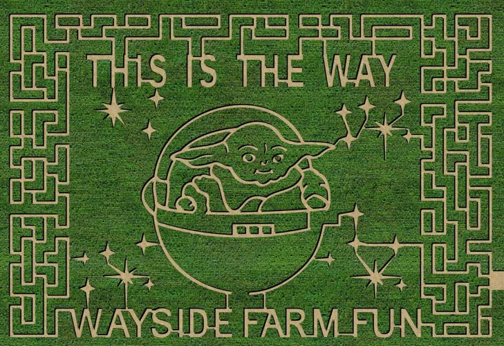Wayside Farm launches fall fun with Baby Yoda corn maze | Winchester ...
