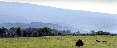 Hazy day | Winchester Star | winchesterstar.com