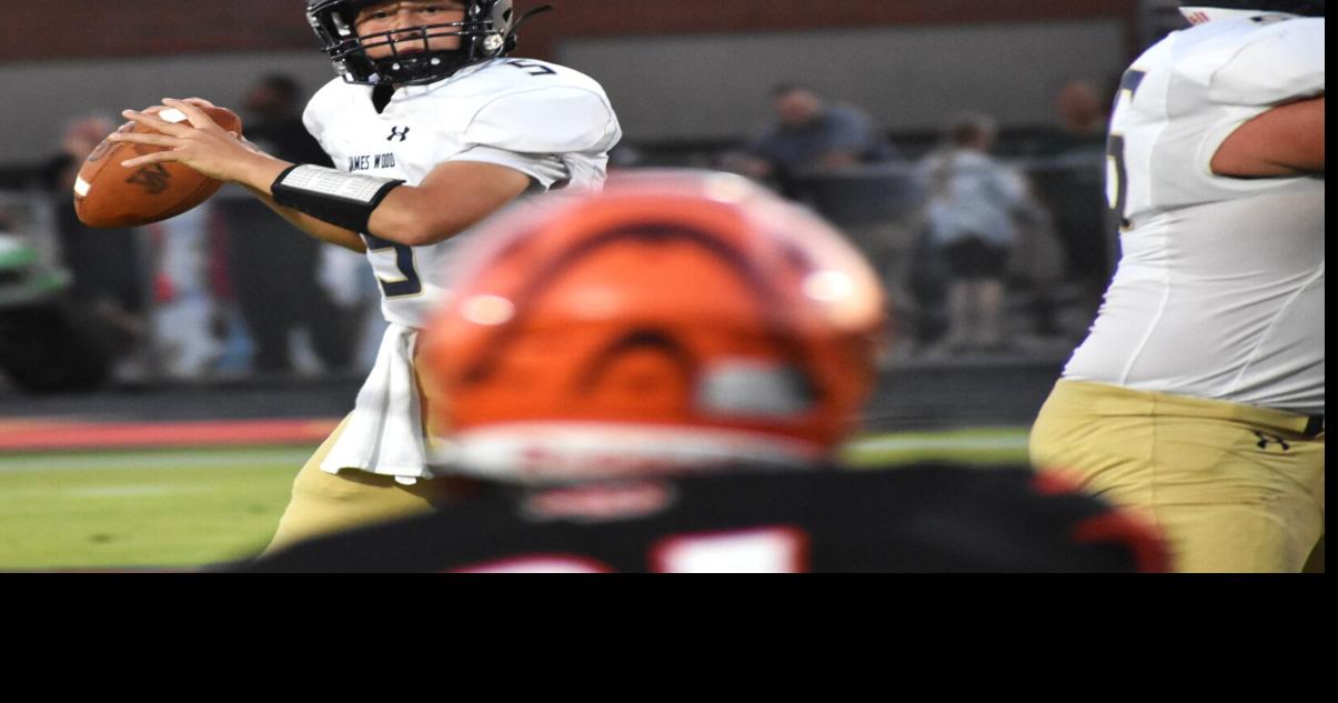 James Wood, Handley ready to square off again | Eedition ...