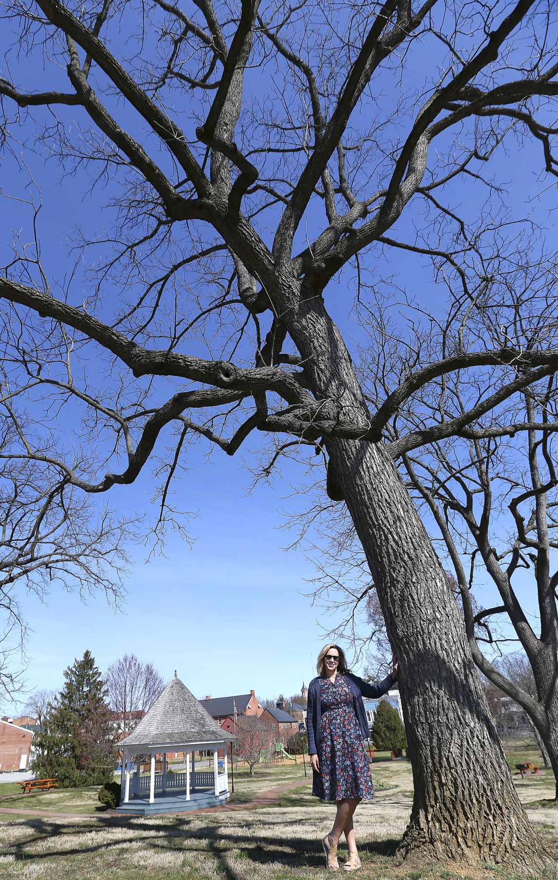 Berryville named Tree City USA | News | winchesterstar.com