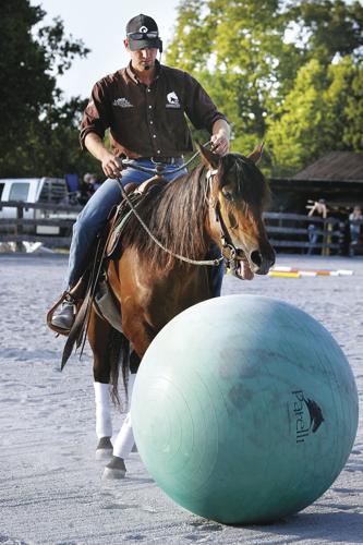 Tamed mustang takes to the stage in Clarke | News | winchesterstar.com