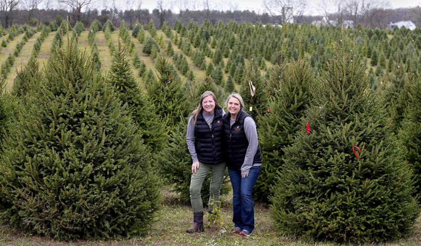 'Total serendipity' brings new owners to Moose Apple Christmas Tree ...