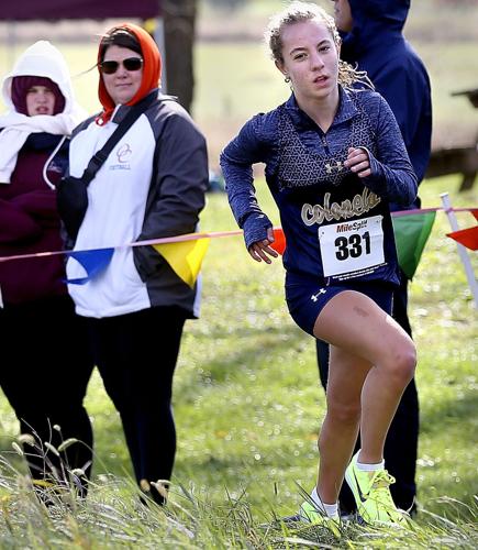 Girls' Cross Country Runner of the Year: James Wood's Kate Konyar ...