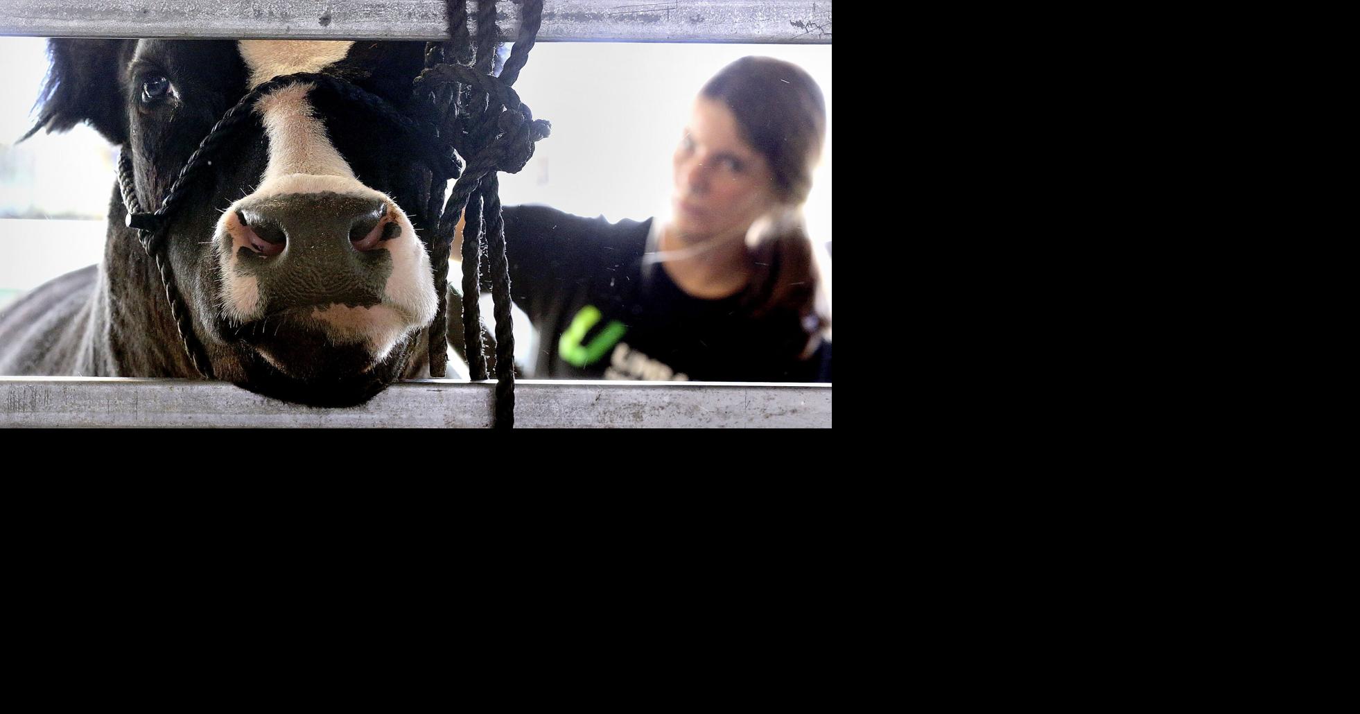 This year's Clarke County Fair to feature many new events | Winchester ...