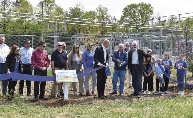 Pollinator garden gets things buzzing | Winchester Star ...