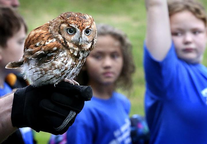 Clarke County fourth graders explore environment, wildlife at annual ...