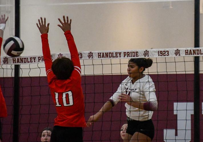 Johnson breaks own record in Judges’ volleyball win over Sherando | Winchester Star ...