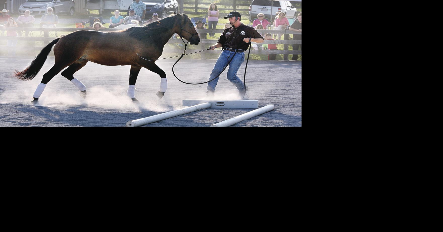 Tamed mustang takes to the stage in Clarke | News | winchesterstar.com