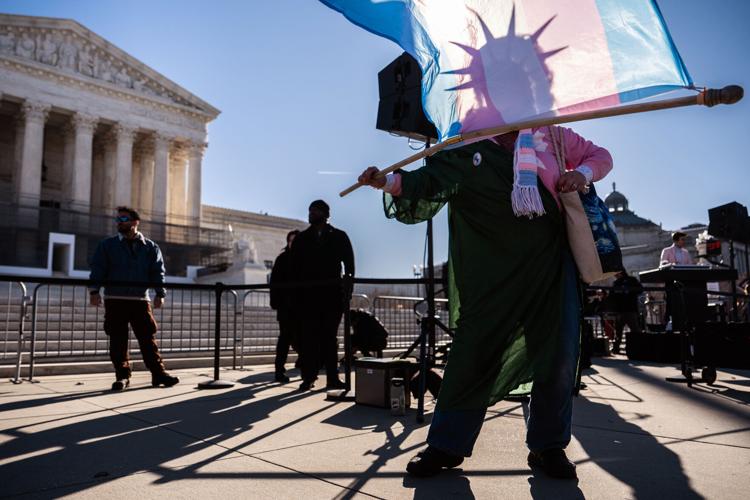 Photos of demonstrators outside the Supreme Court as it considers ...
