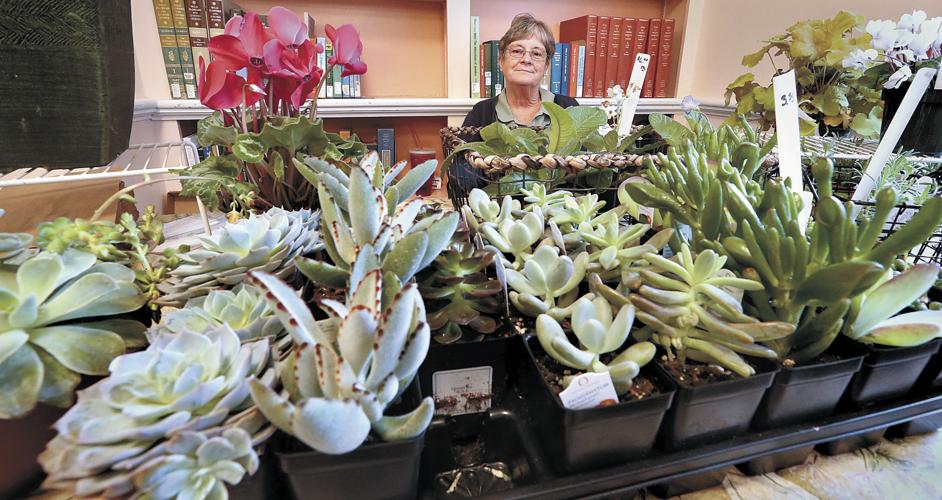 Seed Exchange inspires gardeners | News | winchesterstar.com