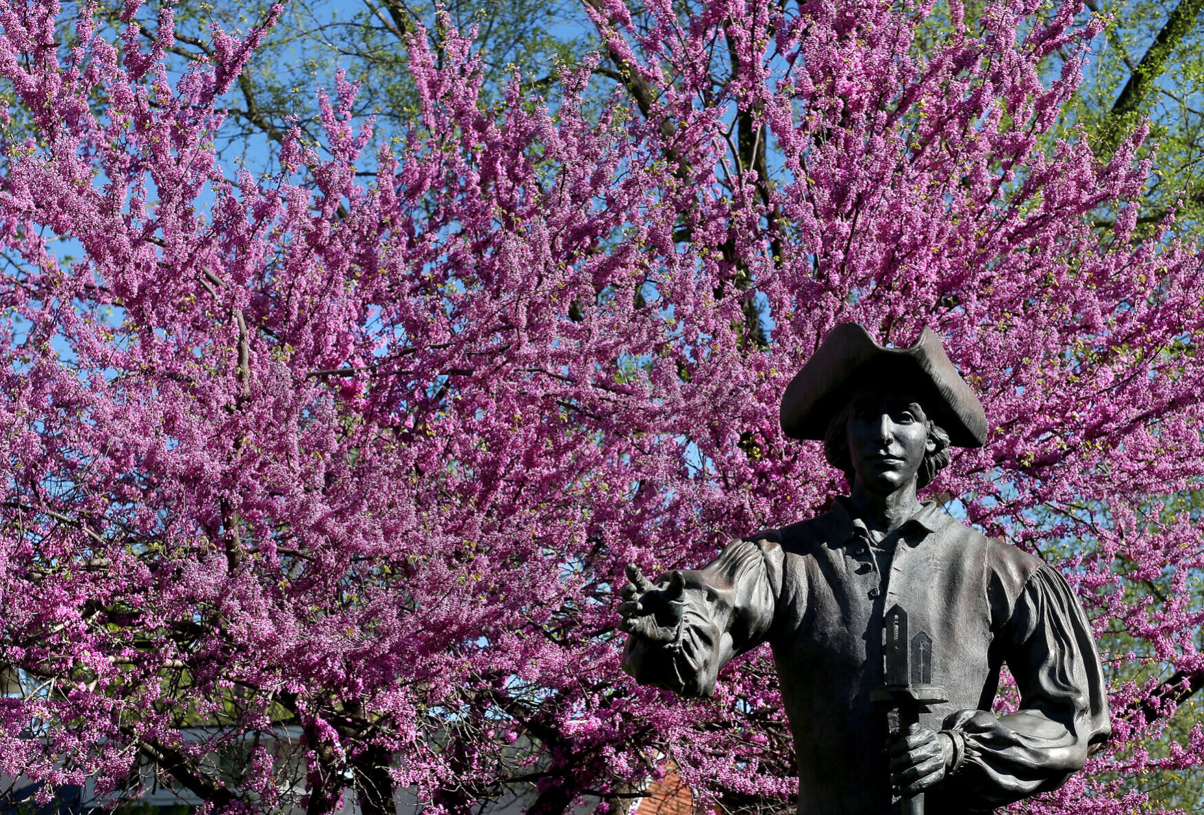 Blooming, by George | Eedition | winchesterstar.com