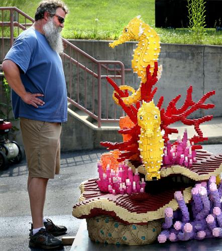 New Lego exhibit opens at MSV this weekend | Winchester Star ...