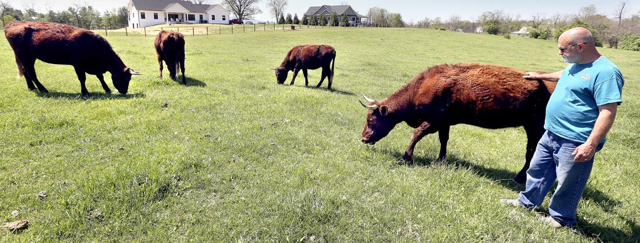 Historic place, historic livestock: A look into Frederick County’s ...
