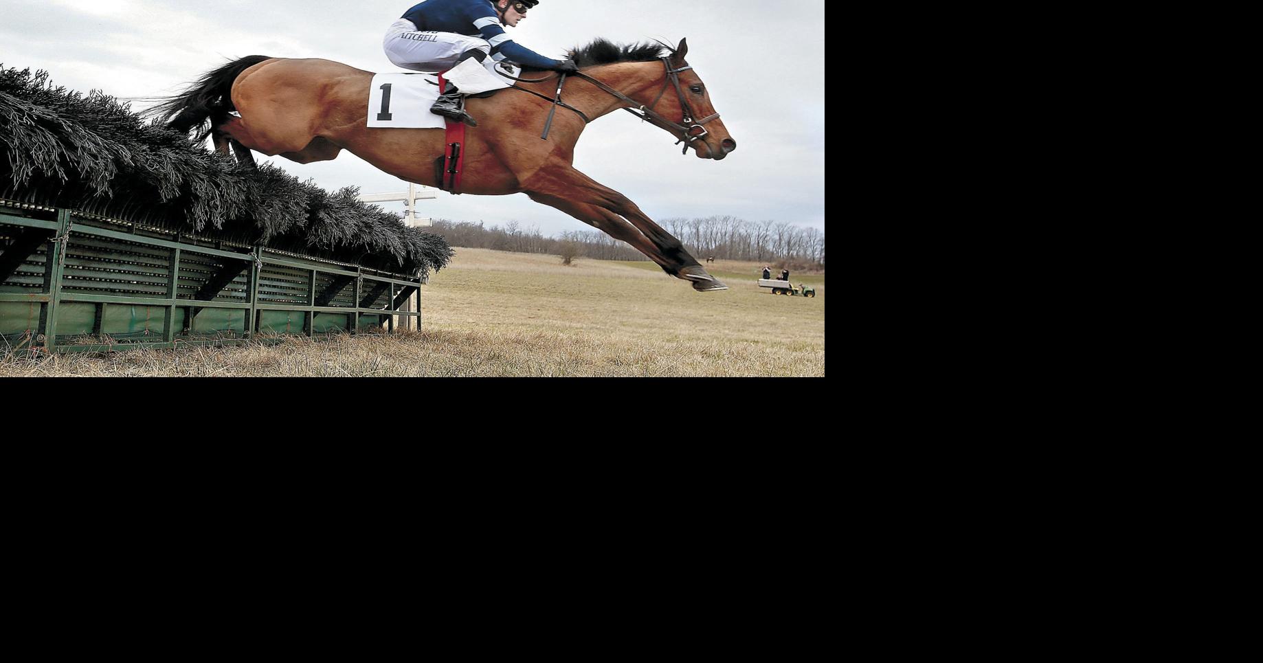 Photographer's Favorite Photos: Ginger Perry | | winchesterstar.com