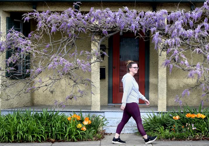 Spring palette | Eedition | winchesterstar.com