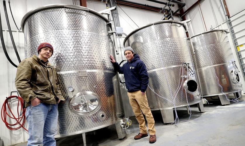 Hard cider presents new opportunities for local apple industry ...
