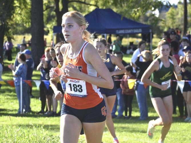 Cross country notebook: Clarke County progressing well | Winchester ...