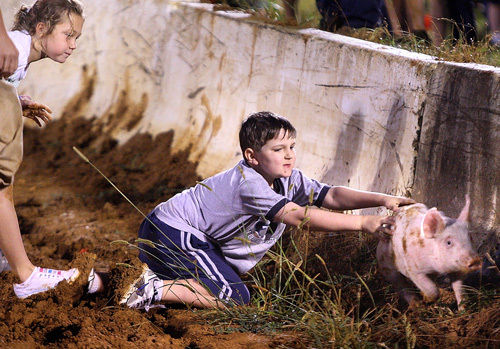 Storm adds twist to fair pig scramble festivities | News ...