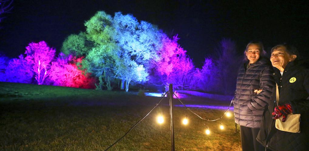 Gardens glow in special exhibit at MSV | Winchester Star ...