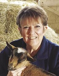 Deborah Kathleen “Deb” Sexton | Obituaries | winchesterstar.com