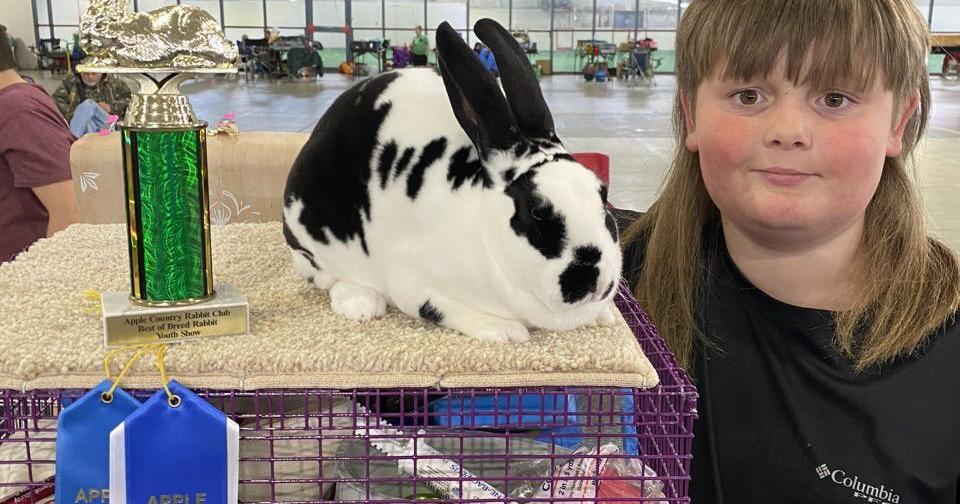 Bunny lovers hop into Rabbit 101 workshops | Winchester Star ...