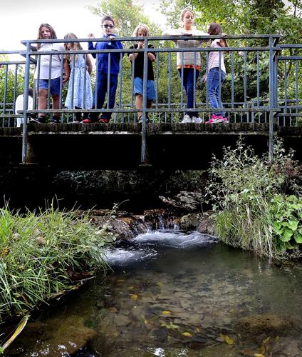 Clarke County fourth graders explore environment, wildlife at annual ...
