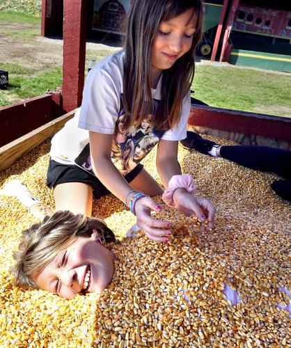 Fun down on the farm | Eedition | winchesterstar.com