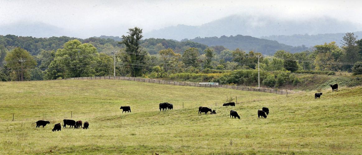 Solar power plant being considered at historic Audley Farm in Clarke ...