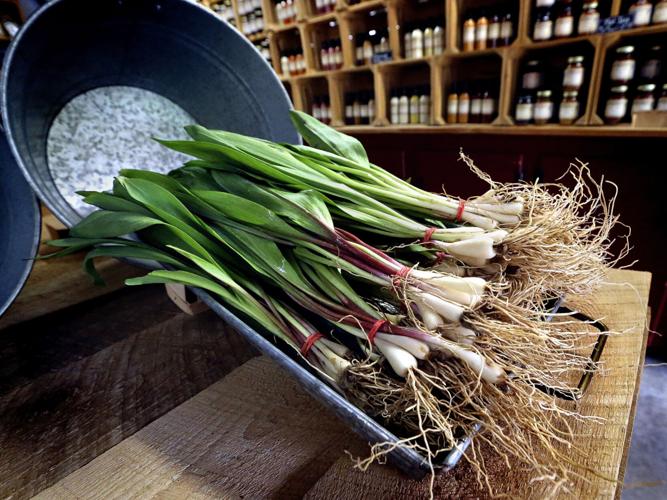 Ramped up: Wild crop can be added to dishes or star as main item ...