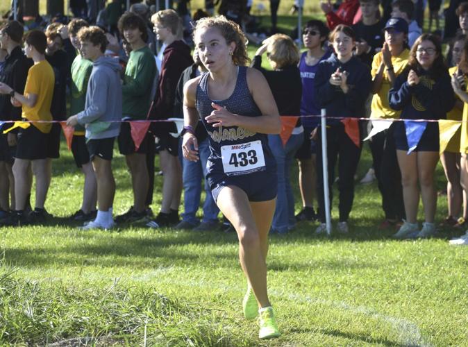 James Wood girls capture Judges Classic | Winchester Star ...