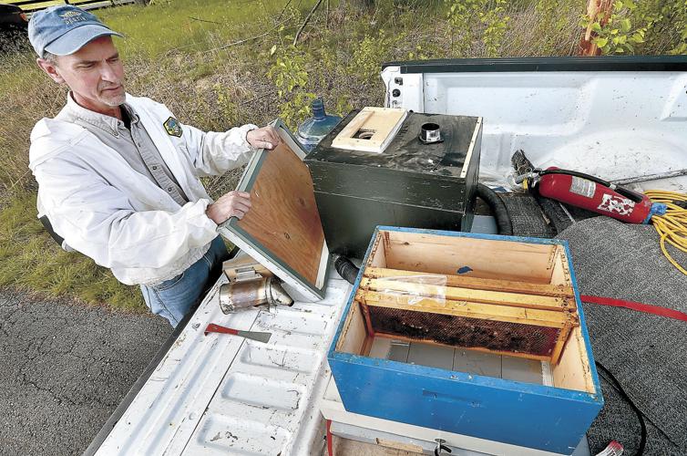 Beekeeper eager to help people burdened by swarms this season | News ...