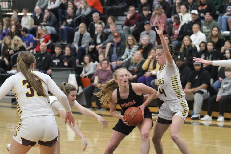 Winhawks fall to Tigers in section semifinal | Sports | winonapost.com