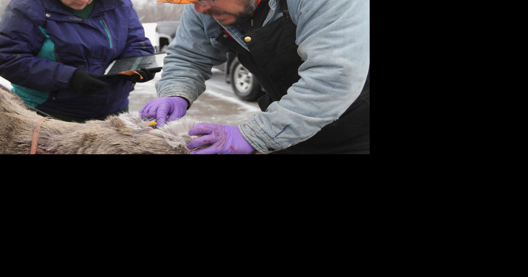 A new phase of CWD management? | News | winonapost.com