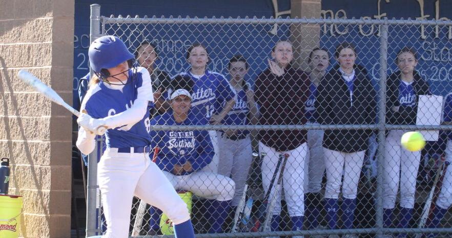 Ramblers, Saints softball teams advance | Sports | winonapost.com