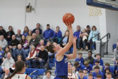 Rambler girls fall to Lourdes in section final | Sports | winonapost.com