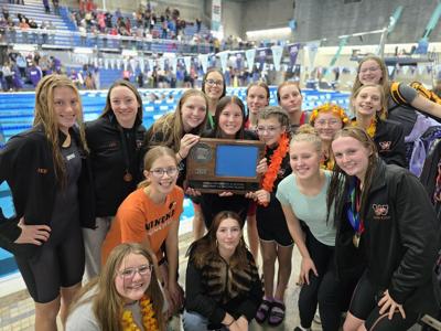Winhawks swim & dive takes 2nd at sectionals | Sports | winonapost.com