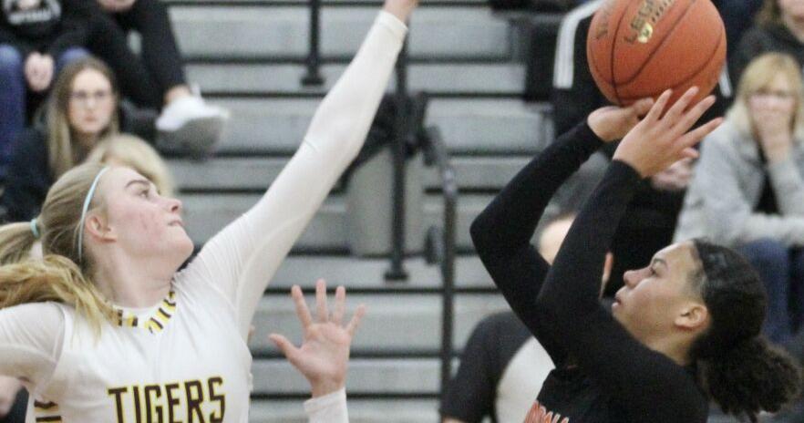 Winhawks fall to Tigers in section semifinal | Sports | winonapost.com