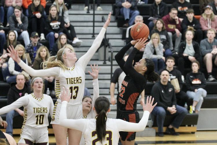 Winhawks fall to Tigers in section semifinal | Sports | winonapost.com