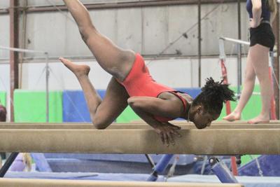 Winhawk gymnasts: Powerful, confident | News | winonapost.com