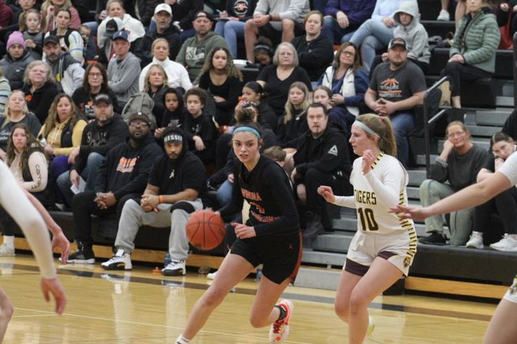 Winhawks fall to Tigers in section semifinal | Sports | winonapost.com