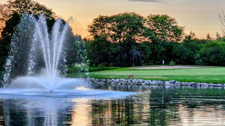 Playing by the Rules at Hartford Golf Club | WSGA State Amateur ...