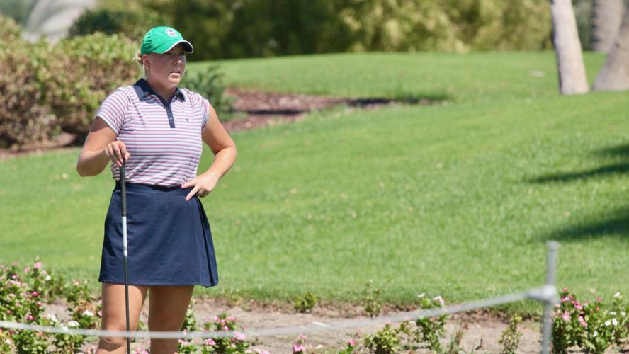 Everyone has an opinion as double-bogey keeps Bobbi Stricker from ...