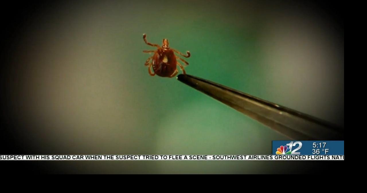 Spring has sprung, which means more ticks will be out and about | News ...