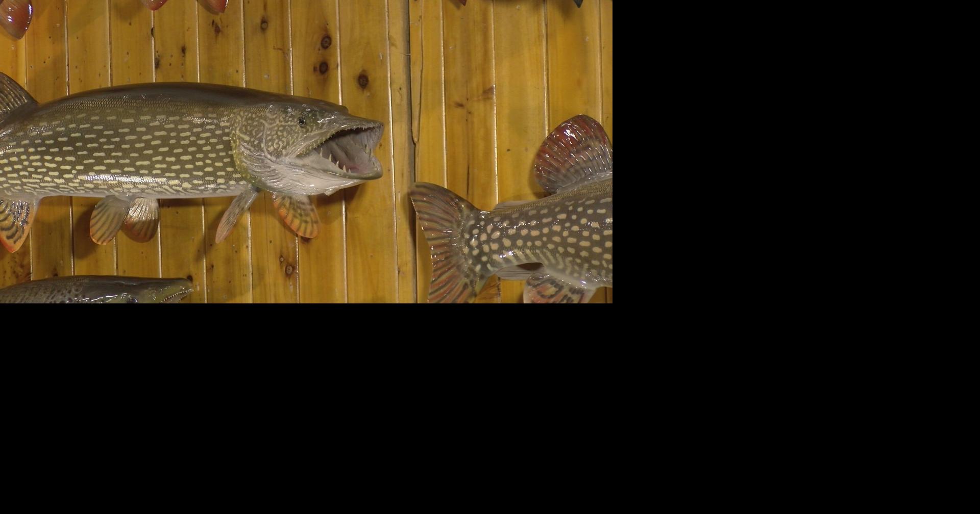 Wisconsin Muskie Expo held in Rothschild | News | wjfw.com