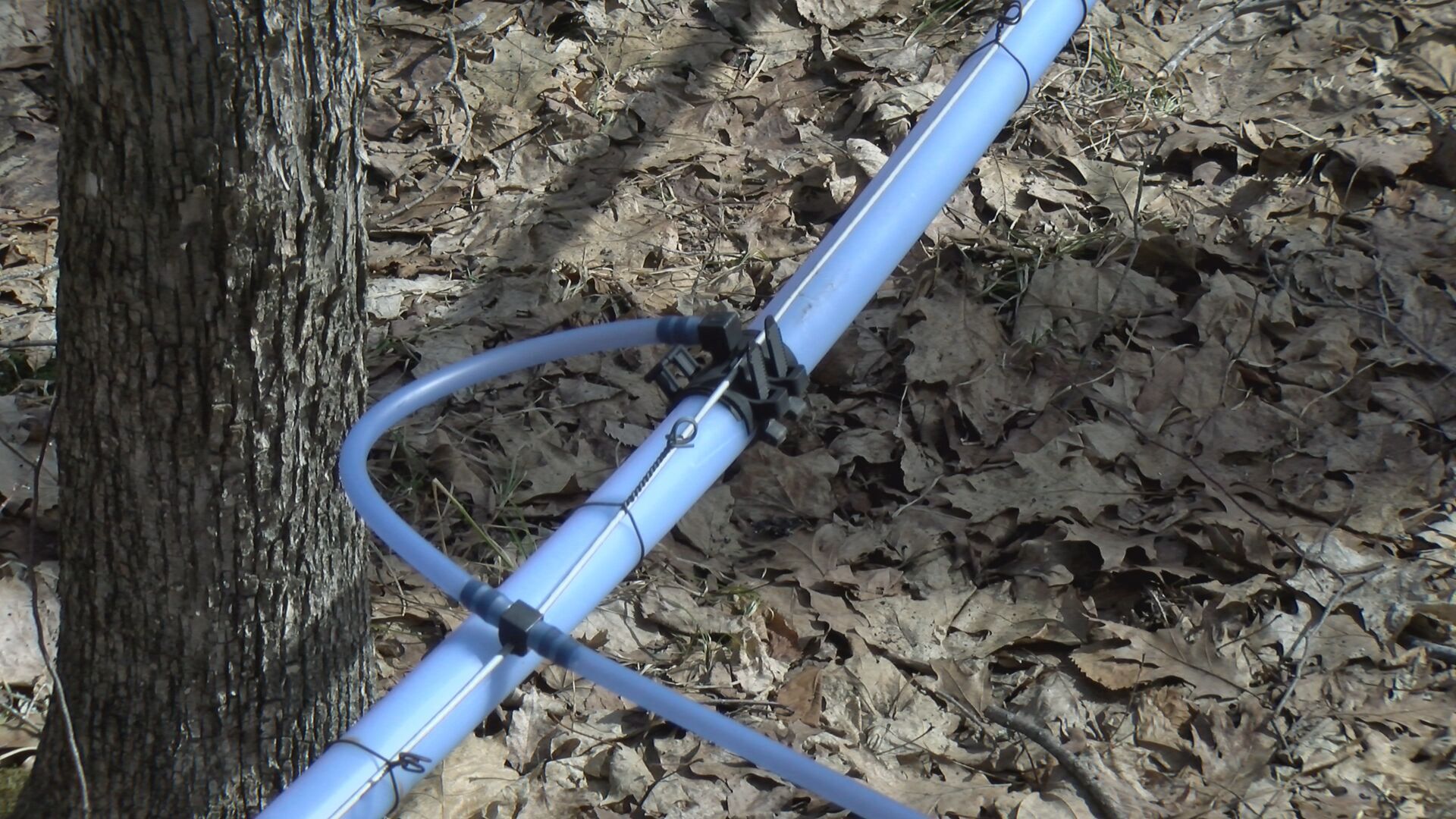 Nature’ly Sweet in Merrill shows good signs for maple syrup season this ...