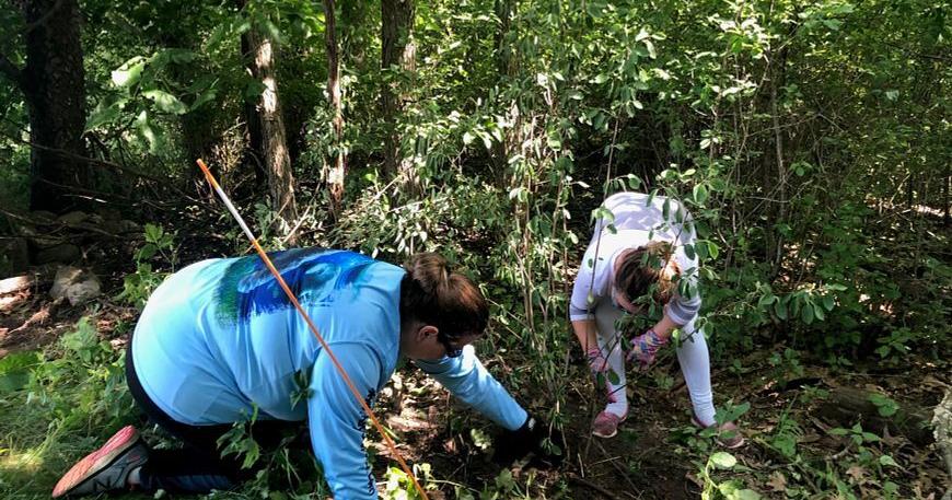 DNR announces first Invasive Species Awareness Day | News | wjfw.com